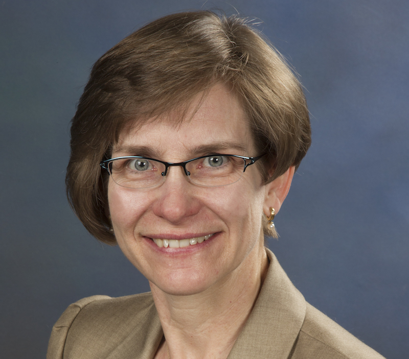 Community-Driven Sea Ice Modeling with the CICE Consortium | ARCUS