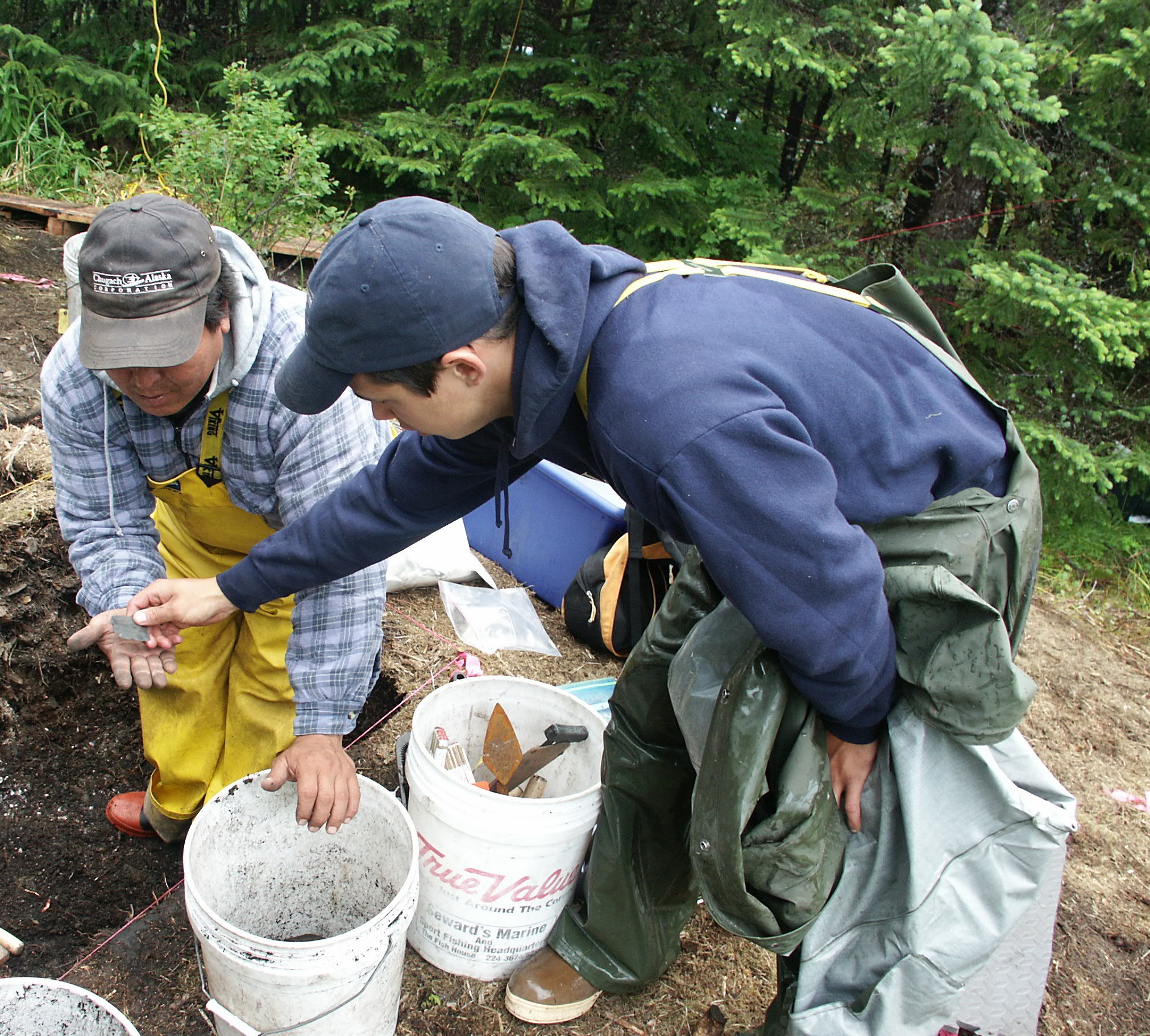 Archaeology and Pacific Cod Ear Bones Provide Clues on Climate Cycles ...